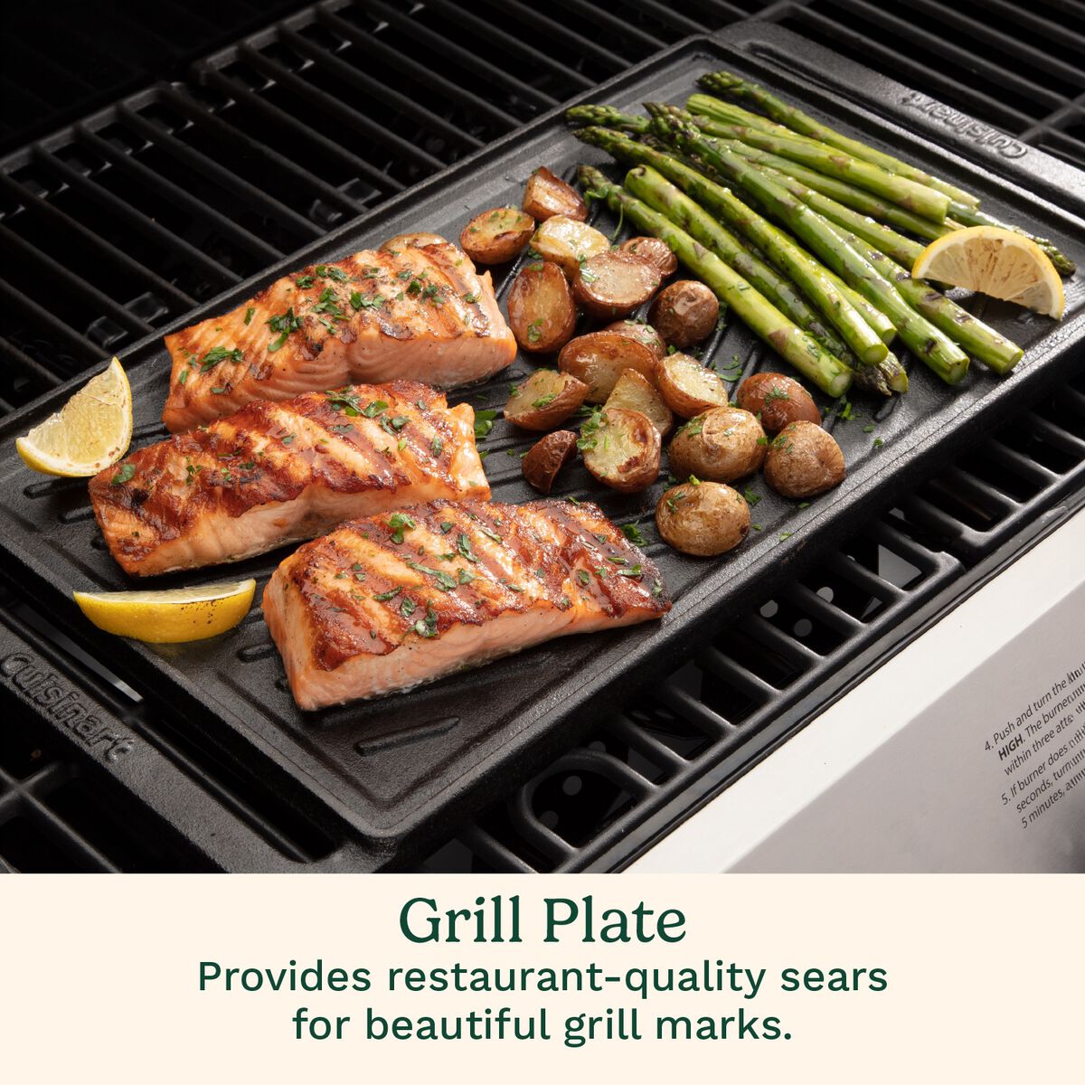 griddle grill pan