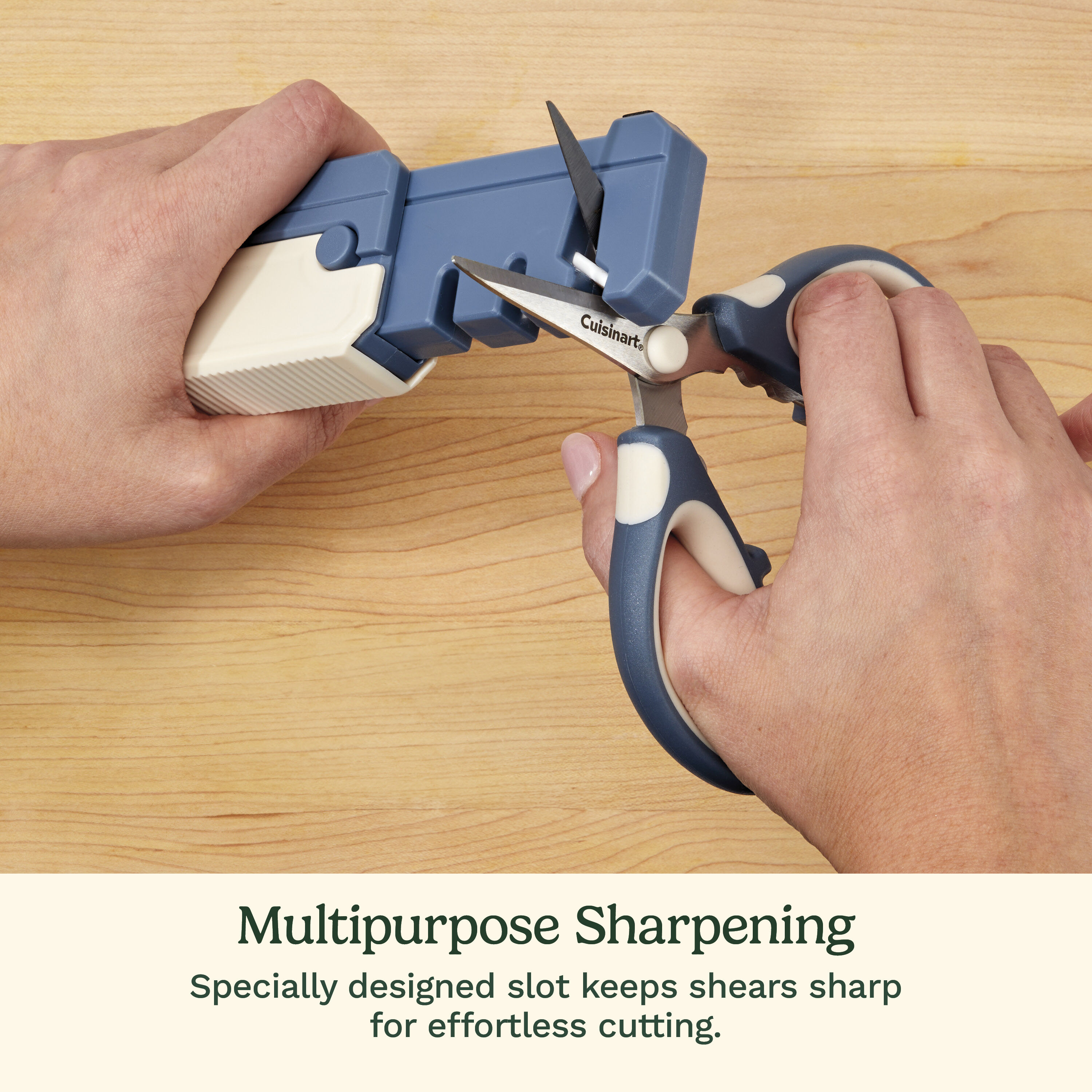 shears sharpening tool