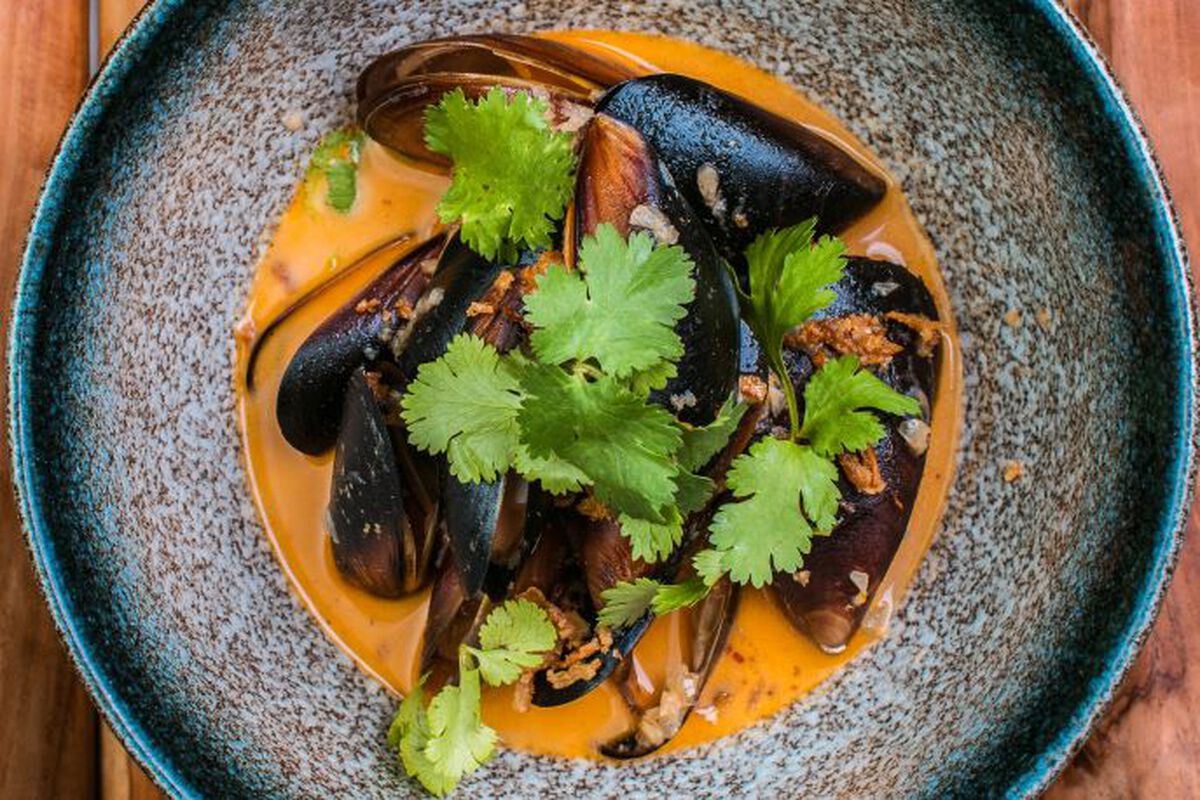 Coconut Broth Mussels - Recipes - Cuisinart