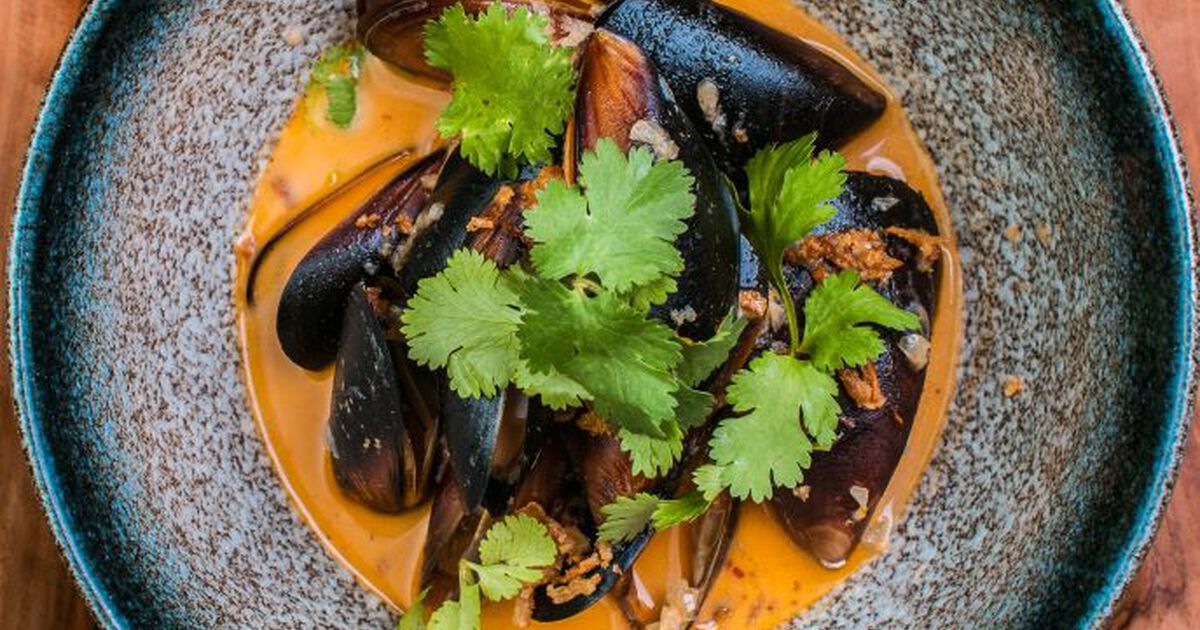 Coconut Broth Mussels - Recipes - Cuisinart